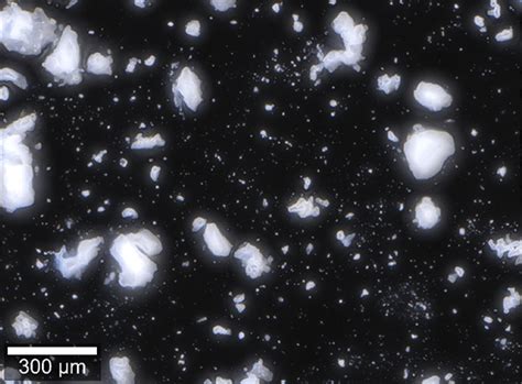 Microscopía De Campo Claro Y Fluorescencia Witec Raman Imaging