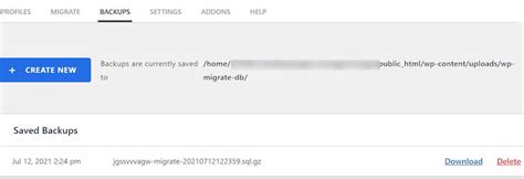 WP Migrate DB Pro Review PROS CONS Is It Worth It