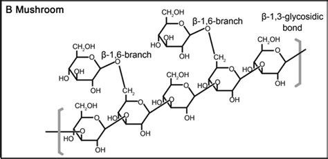 β Glucans Characterization Extraction Methods And Valorization