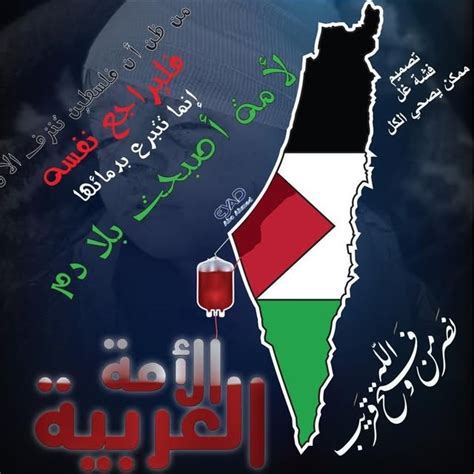 🇶🇦🇵🇸 Ialsayed10 • Threads Say More