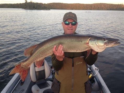 Musky Fishing In Ontario — Eagle Lake Island Lodge
