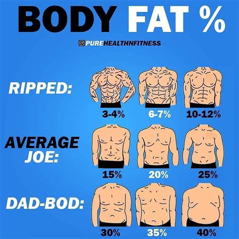 Fitnessloversig On Instagram “🔥body Fat Percentages🔥 Which One Are