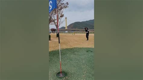 즐거운 주말 보내세요 파크 골프 즐기고 있습니다 굿샷 파크골프 파크골프장 골프 골프스윙 주말 여행 캠핑 가을 Youtube