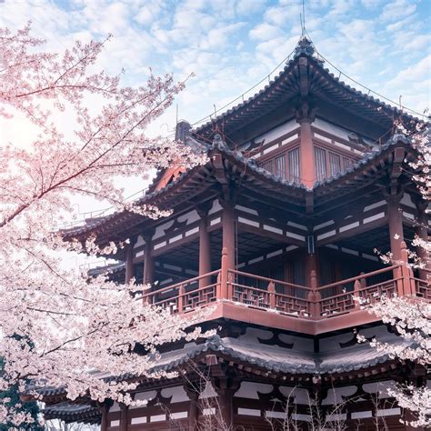 Top 20 Things You Can Explore In Xi An Hey Xian Com