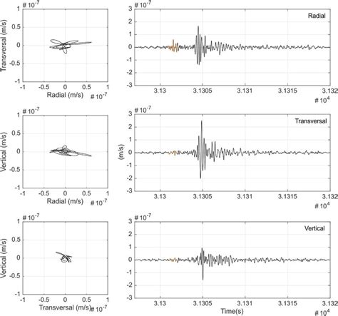 P Waves Particle Motion Data Left Transverse Radial Tr Download Scientific Diagram