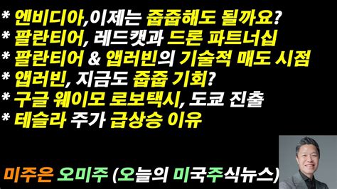 오늘의 미국주식뉴스 엔비디아이제는 줍줍해도 될까요 팔란티어 And 앱러빈의 기술적 매도 시점 구글 웨이모 로보택시