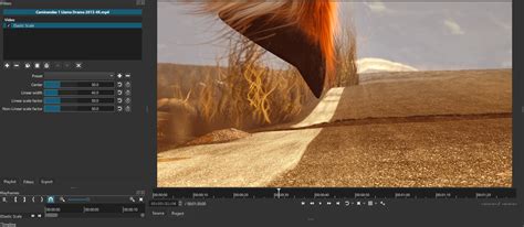 The Elastic Scale Filter Preview Scaling Distortion Bug Bug Shotcut