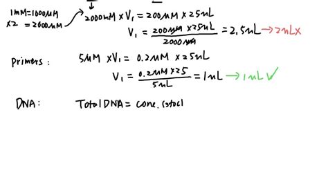 SOLVED Texts Explain The Principle Of DNA Isolation Complete PCR