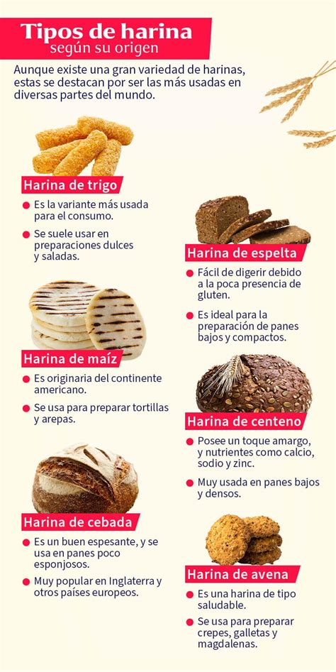 Todo Lo Que Necesitas Saber Sobre Harinas Integrales Ejemplos Y Beneficios