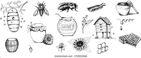 4439 프로폴리스 스톡 벡터 이미지 및 벡터 아트 Shutterstock