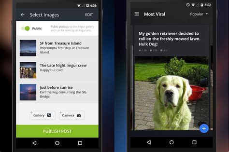Imgurs New Android App Delivers Endless S Pics And Memes The Verge