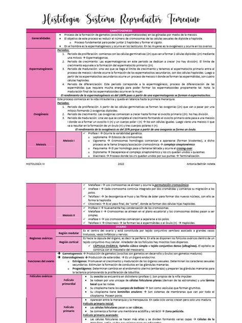 Resumen Histo Reproductor Femenino Pdf Mitosis Ovario