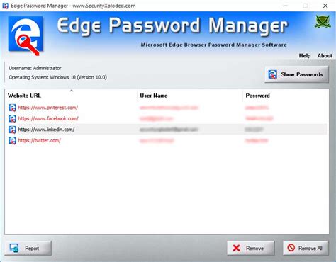 Screenshot 2 Edge Browser Password Recovery Report In Html Format
