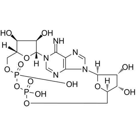 Cyclic Adp Ribose Cas No 119340 53 3 Glpbio