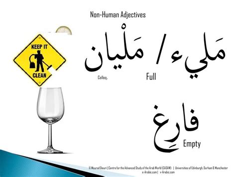 Pin By Ismat Ali On Arabic Language Learning Arabic Vocabulary
