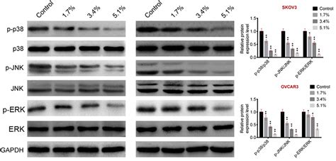 Sevoflurane Inhibits Proliferation And Invasion Of Human Ovarian Cance
