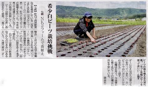 北海道産の美味しいビーツや西洋野菜北海道米ふっくりんこや各種野菜の事なら愛情込めて無農薬栽培しているNK2 FARMへ 北海道函館市