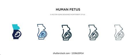Human Fetus Icon Different Style Vector Stock Vector Royalty Free