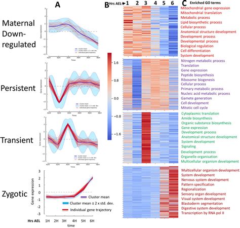 Temporal Synexpression And Gene Ontology Enrichment Analysis Of Download Scientific Diagram