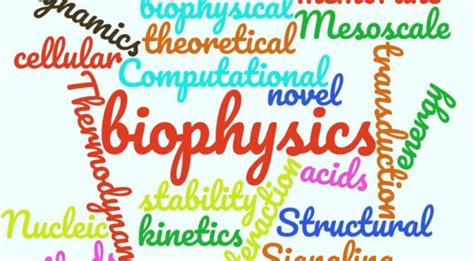 Bmc Series Blog Introducing The Editor In Chief For Bmc Biophysics