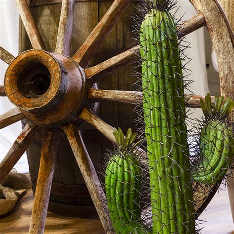 Roue de charrette Agence Ge²