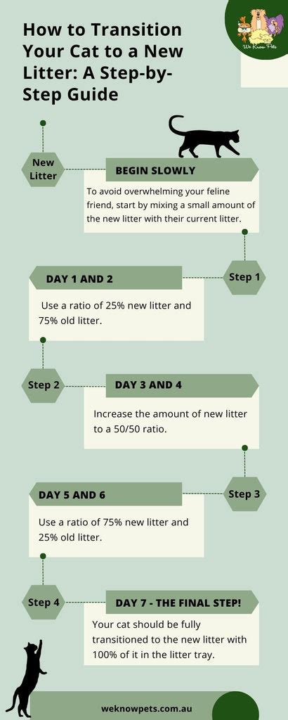 How To Transition Your Cat To A New Litter A Step By Step Guide We