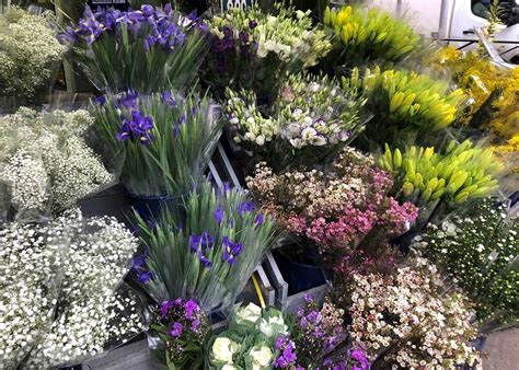 パリ最新情報「春を先取り！パリの花屋さんに並び始めたミモザ」 Design Stories