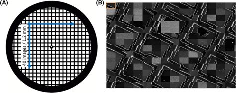 A Schematic Of The Automated Imaging Workflow For A Tem Grid Prepared Download Scientific