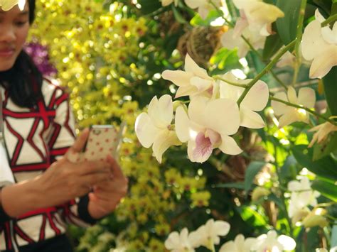 무료 이미지 봄 식물학 정원 플로라 관목 플로리스트 리 꽃 피는 식물 꽃다발 플로랄 디자인 육상 식물 꽃꽂이 2560x1920 122504