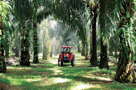 Fgv In 2024 Championing Sustainability And Innovation Globally