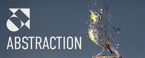 Abstraction Unlocking Meaning From Experience Through Language — Erc