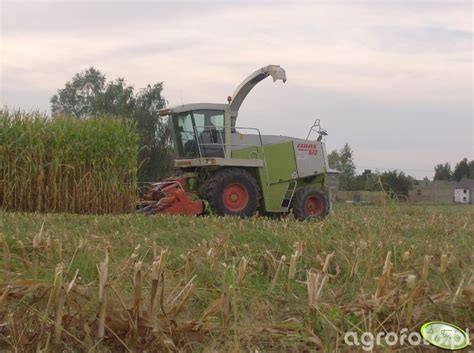 Claas Jaguar 820 - Obrazek, fotka, zdjecie, photo #172291 - Galeria ...