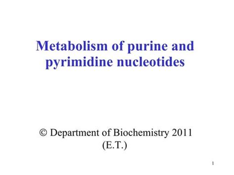 Pyrimidine Synthesis And Degradation Pdf