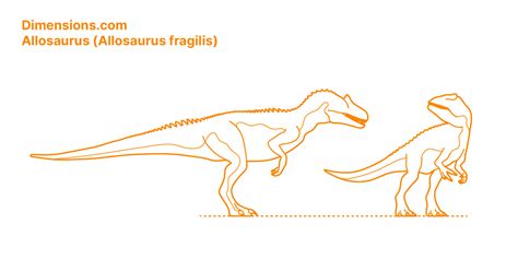 Allosaurus Size Comparison