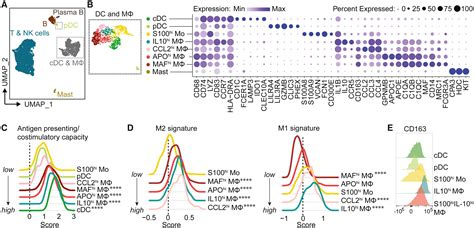 Integrative Analysis Of Neuroblastoma By Single Cell Rna Sequencing Identifies The Nectin2 Tigit