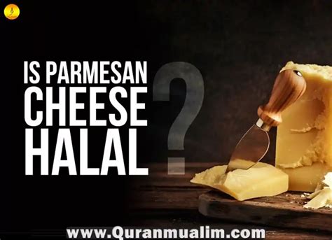 Is Parmesan Cheese Halal Or Haram Quran Mualim