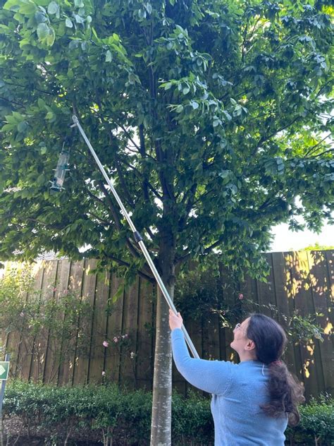 Making Friends With Birds Outside Pi Towers Raspberry Pi