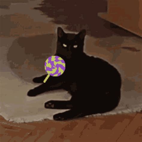 Lollipop Cat  Lollipop Cat Cool Cat Discover And Share S