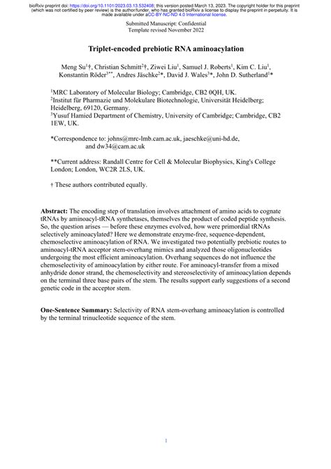Pdf Triplet Encoded Prebiotic Rna Aminoacylation