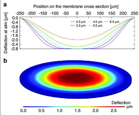 Simulated Deflections Of The Sensor Membrane A 2D Crosssections Of The
