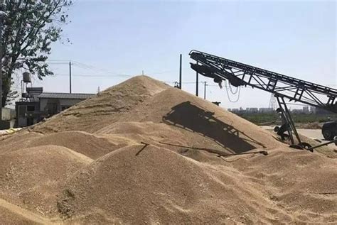 糧市突變，玉米、小麥雙雙下跌！糧價將迎來「下跌潮」？ 每日頭條