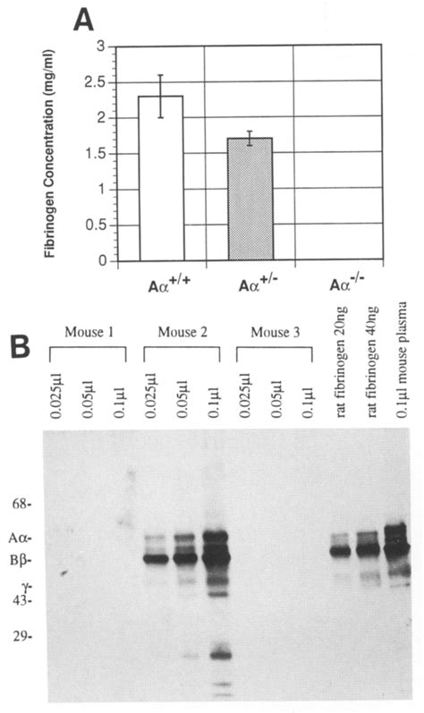 Elisa And Western Blot Immunoassay Of Fibrinogen In The Blood Of