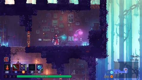 Dead Cells In The Promenade Of The Condemned In A Home Where Insects