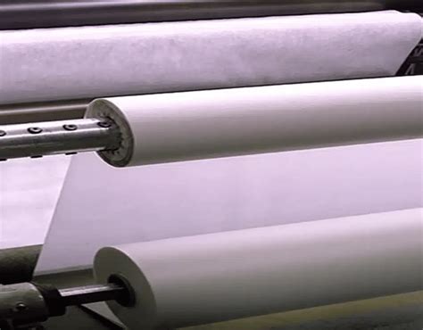 Whatman Filter Paper Vs Normal Filter Paper Comparison