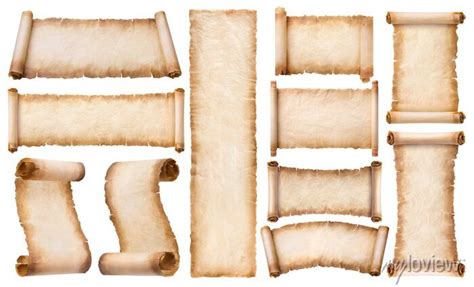 Collection Set Old Parchment Paper Scroll Sheet Vintage Aged Wall Mural