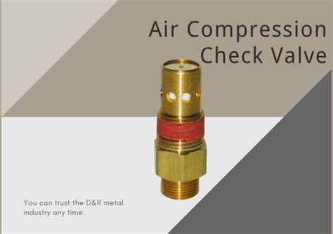 Air Compressor Check Valve Manufacturer In China D R Metal Industry