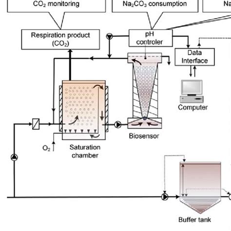 Basic Working Principle Of The Biosensor Applications Download