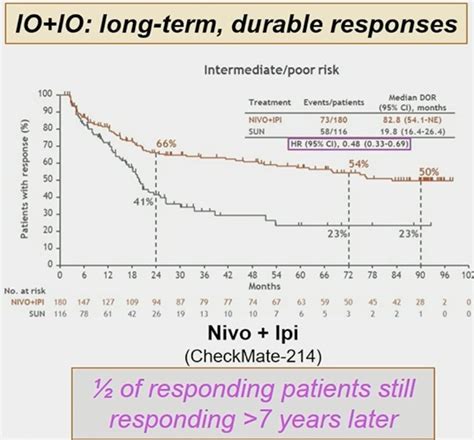 Asco 2024 Harnessing The Immune System In Renal Cell Carcinoma