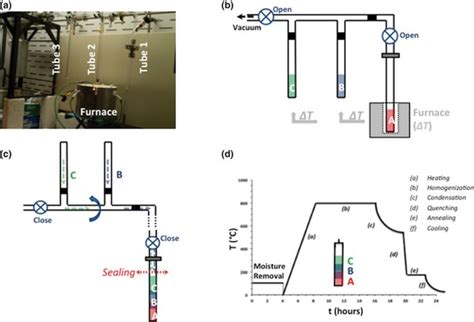 Dynamic Vacuum Chg Purification System A Experimental Setup B Download Scientific Diagram