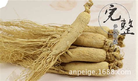 供应人参 长白山生晒参 干人参白参可泡酒东北特产 500克包邮 阿里巴巴